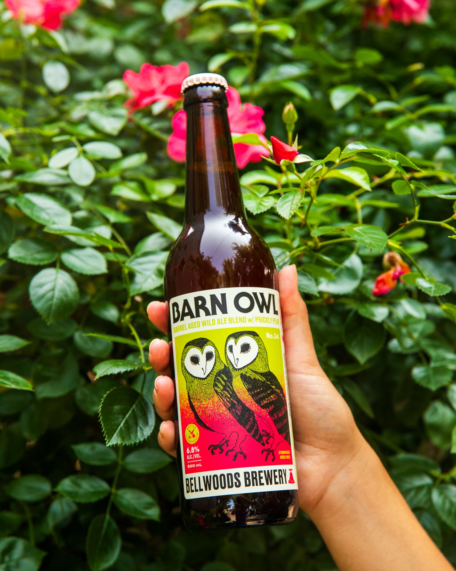 Barn Owl No. 34