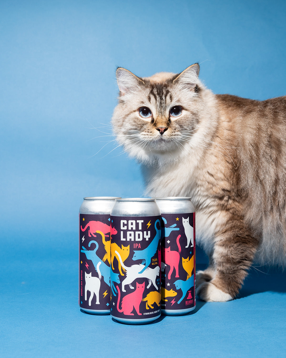 Cat Lady IPA: Hazy & Hoppy IPA