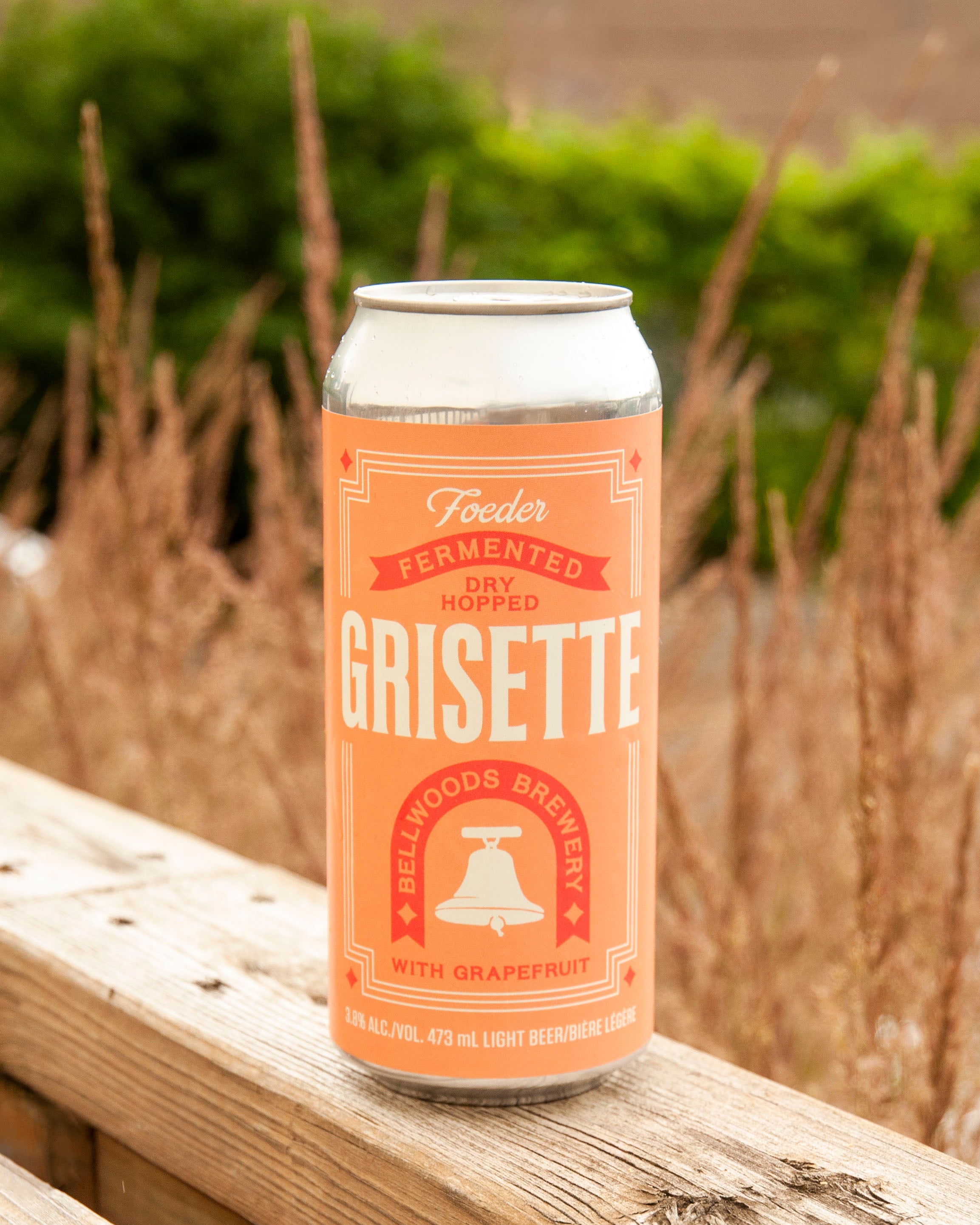 Dry Hopped Grisette w/ Grapefruit