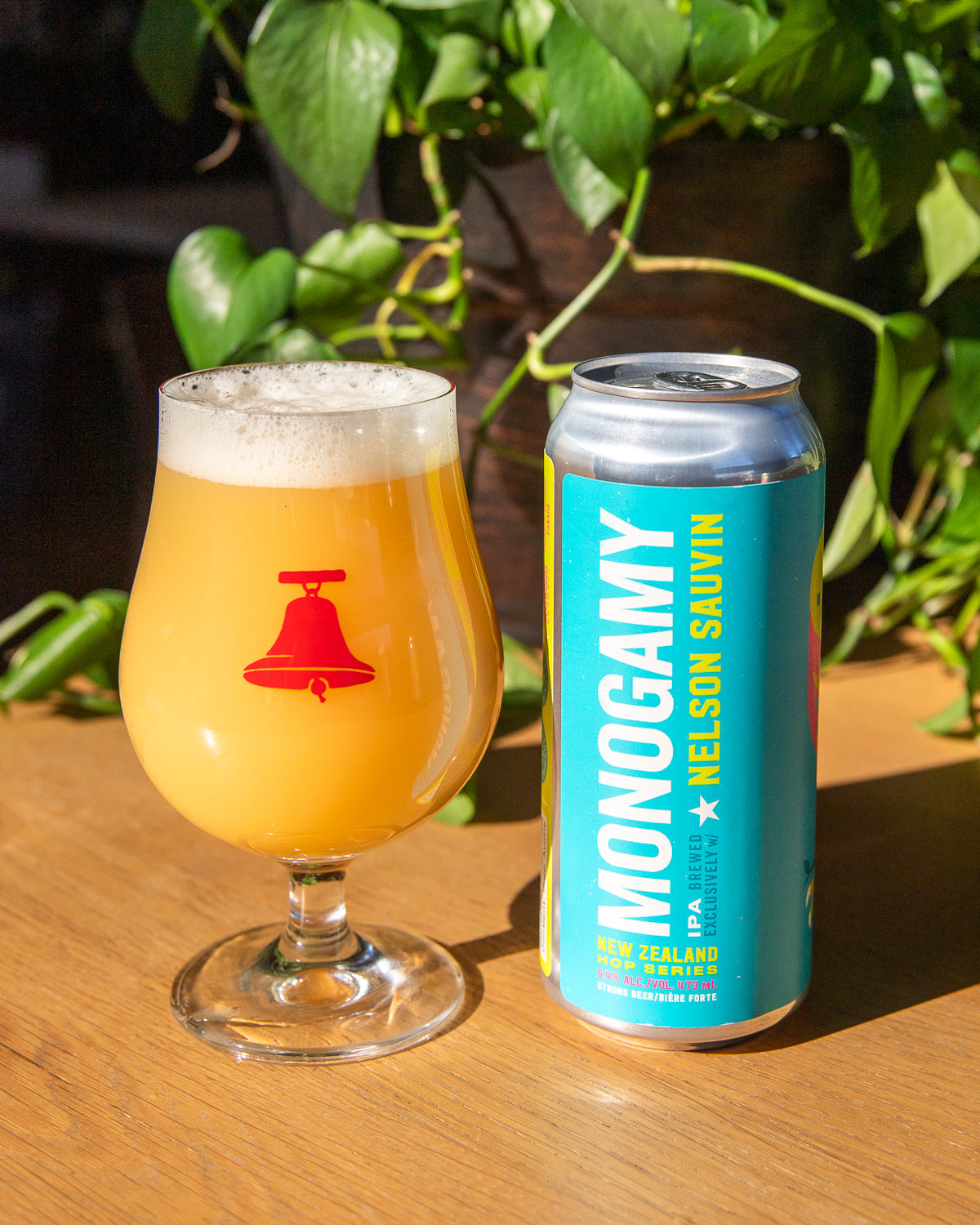 Monogamy Nelson Sauvin (2023)