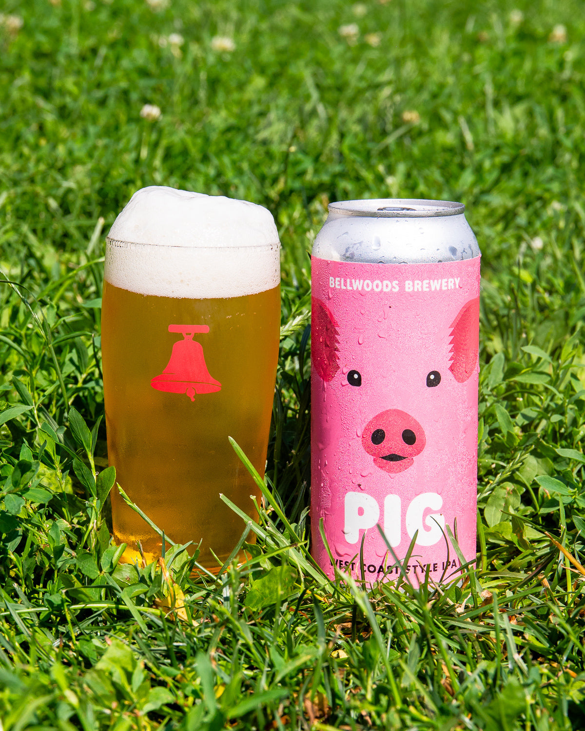 PIG IPA