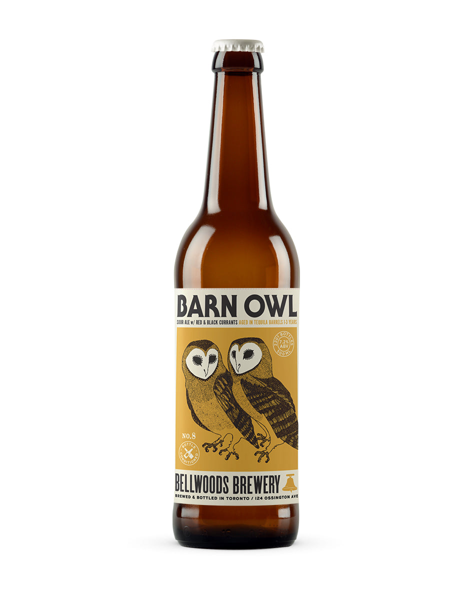 Barn Owl No.8